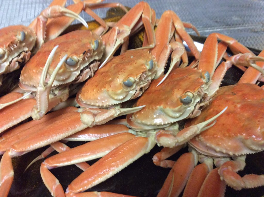冬のカニフルコース🦀宿泊、日帰りプラン🦀受付中！ | 丸ちゃんの琴引浜日記